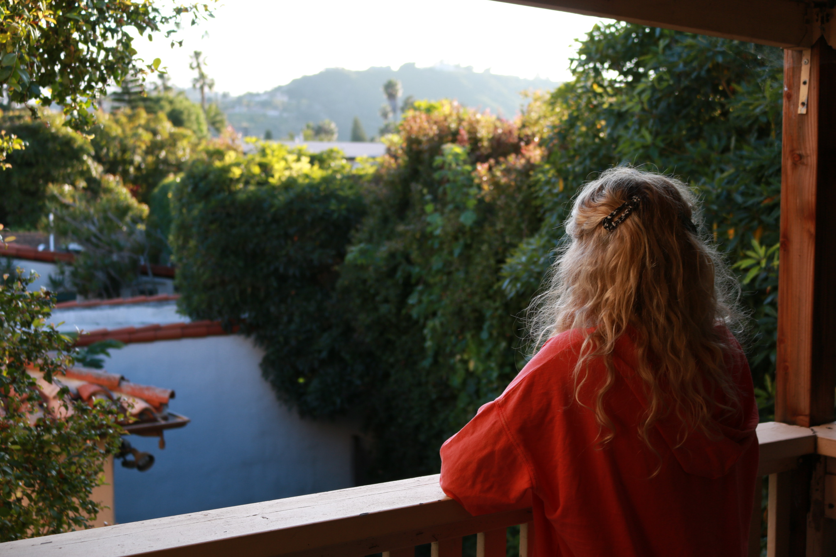 Sam Webster Biography